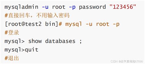 Mysql编译安装 Csdn博客