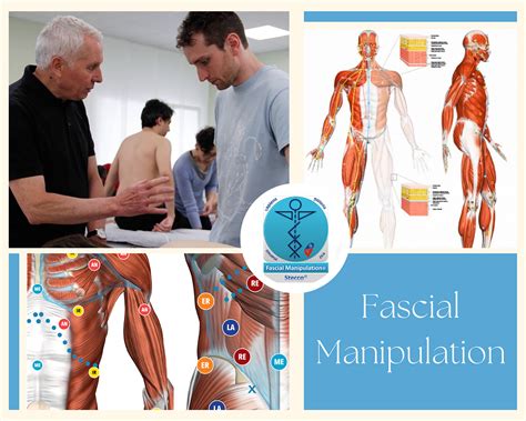 Fascial Manipulation Fm