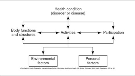 Conceptual Framework For Clinical Practice Flashcards Quizlet