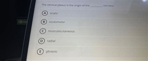 Solved The Cervical Plexus Is The Origin Of The