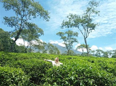 6 Tempat Wisata Di Jawa Timur Ini Cocok Untuk Wisata Edukasi