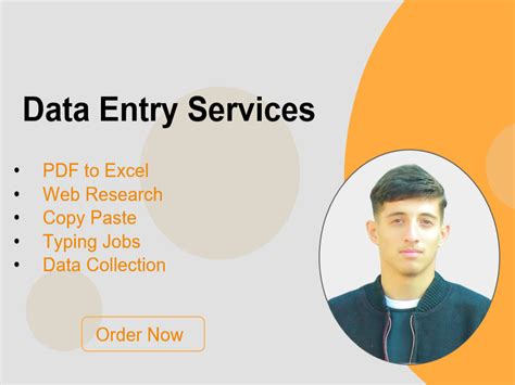 Professional Excel Data Entry Copy Paste Web Research And Typing