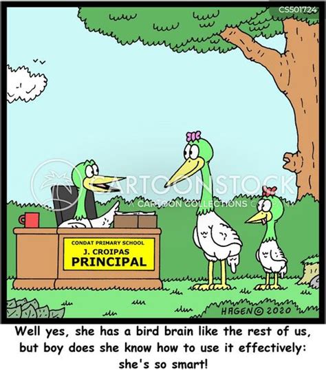 Bird Brain Cartoons And Comics Funny Pictures From Cartoonstock