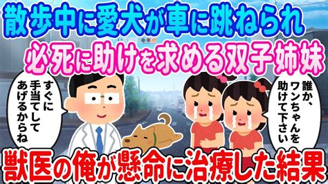 【2ch馴れ初め】散歩中に愛犬が車に跳ねられ、泣きながら必死に助けを求める双子姉妹→獣医の俺が懸命に治療した結果【ゆっくり解説】 Youtube