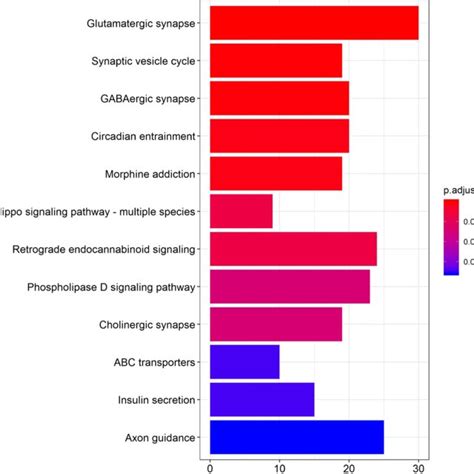 Go Enrichment Of Degs The X Axis Represents Gene Ratio And The Y Axis