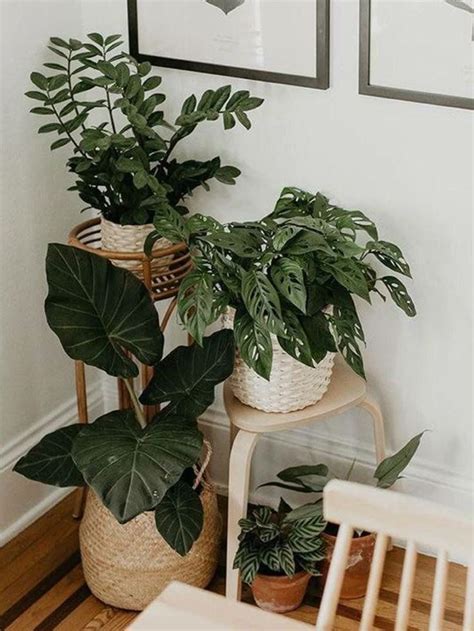 Пин от пользователя Марина Журкина на доске Уют дом Декор из растений Декор спальни Идеи