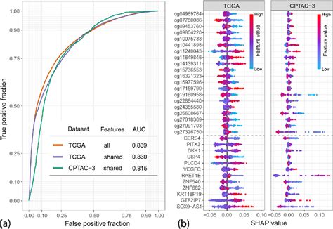 Figure 5 From Multiomics Based Feature Extraction And Selection For The Prediction Of Lung
