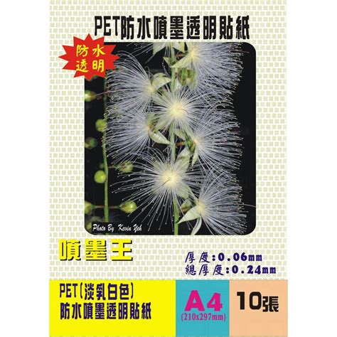 噴墨王 含稅 防水噴墨透明貼紙 透明貼紙 Pet材質防水透明噴墨貼紙a4x10張 適合高檔產品貼標 140元 蝦皮購物
