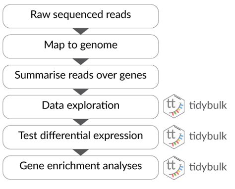Introduction To Tidy Transcriptomics Ismb2021tidytranscriptomics