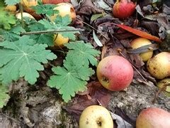 Xiaomi Redmi Pad Review Affordable Android Tablet With Hz And Speakers NotebookCheck