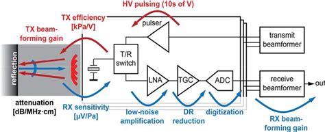 Transmit Receive Signal Path With Pulse Transmission In Red And Echo