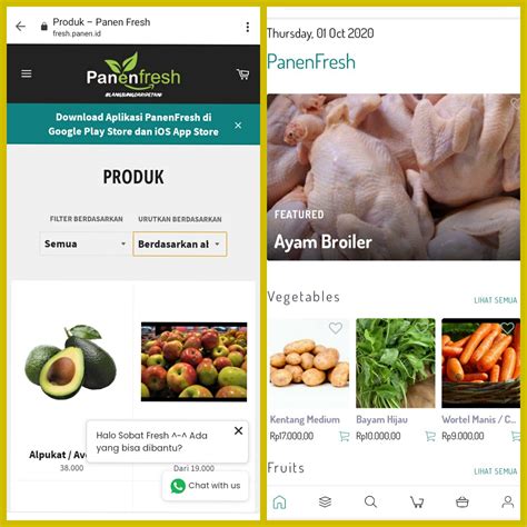 Review Pengalaman Belanja Sayur Online Dan Groseri Online Di Aplikasi