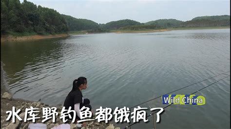 这水库的鱼都饿疯了，甩杆甩个不停，鱼都精得很 Youtube