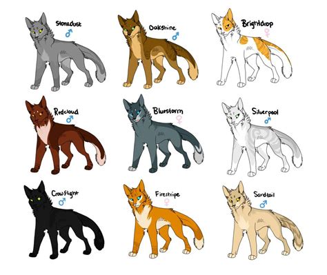 Warrior Cats Characters Warriors Amino