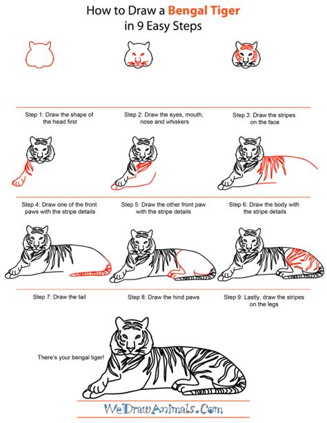 How To Draw A Bengal Tiger Face At Winnie Norris Blog