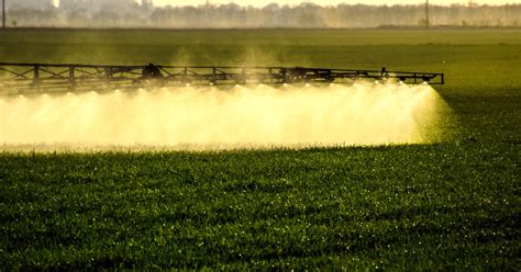 Maximize Nitrogen Applications With These Best Practices