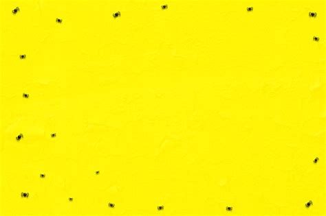 해피 할로윈 배경 노란색 배경에 작은 거미의 많은 공간을 복사합니다 휴일 배경입니다 0명에 대한 스톡 벡터 아트 및 기타 이미지