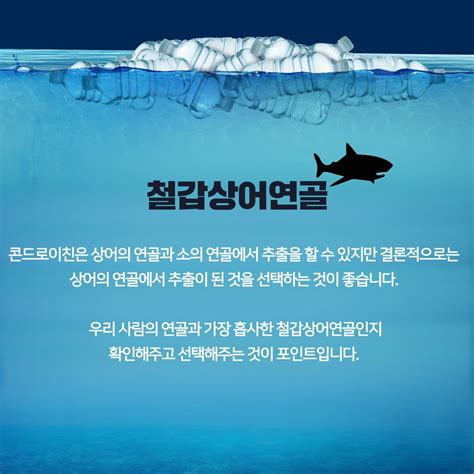 콘드로이친 효능 섭취 방법 및 콘드로이친 효능 가루 선택 기준 네이버 블로그