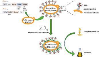 Industrial Crops And Products X Mol
