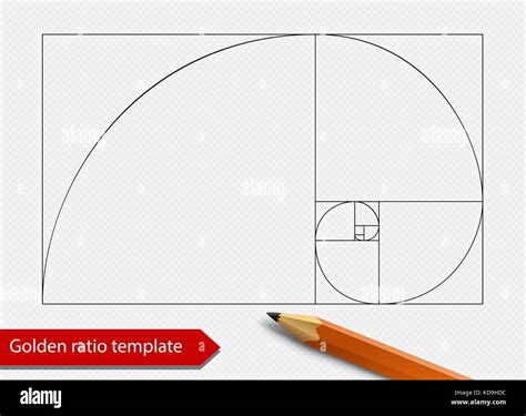 Golden Ratio Line Graph Template Vector Illustration Fibonacci Spiral