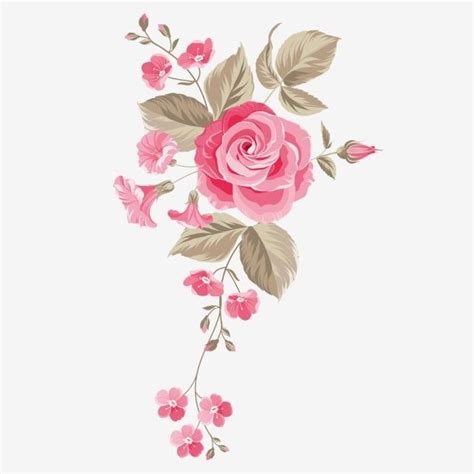 Jardin De Rosas De Flor De Rosa Centifolia Diseño Floral PNG dibujos