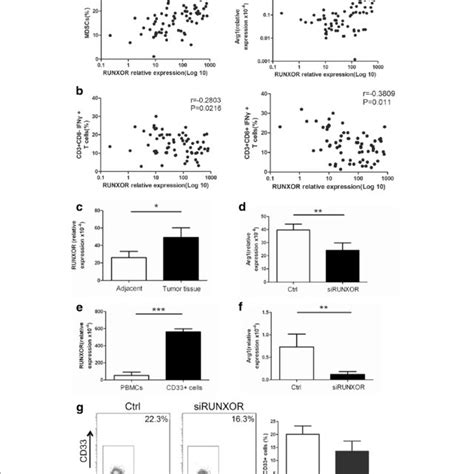 The Expression Of Runxor Is Associated With The Immunosuppression Of Download Scientific