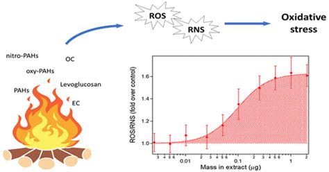 Chemical Oxidative Potential And Cellular Oxidative Stress From Open