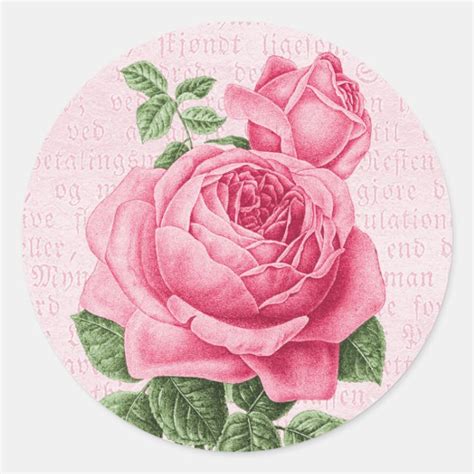 Beautiful Vintage Pink Rose Classic Round Sticker
