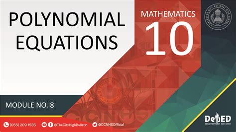 Solution Polynomial Equations Grade 10 Studypool