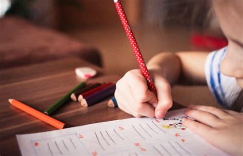 맞춤형 학습과 개별화 교육의 발전