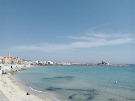 Viaggio in Tunisia tra foreste mare oasi e comunità femminili