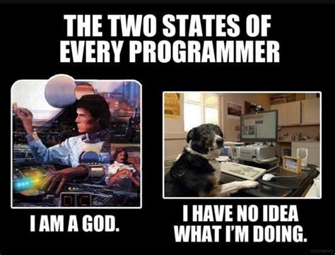 Every Programmer Has Been In One Of These Stages R Programmerhumor