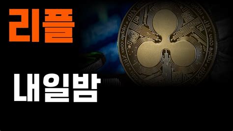 리플 큰거온다 금리인하 수혜주 등극 Youtube