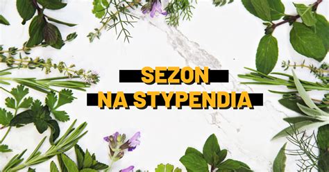 Czy Istnieje Sezon Na Stypendia Moje Stypendium