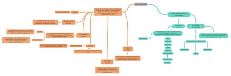 Sexualidad Coggle Diagram