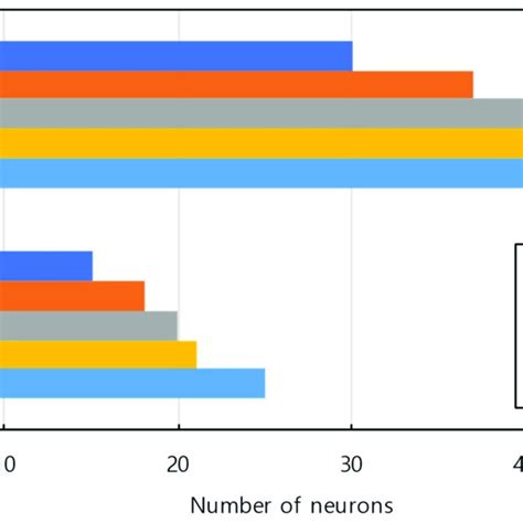 Number Of Neurons Changes In Acdn Based On The Number Of Trained