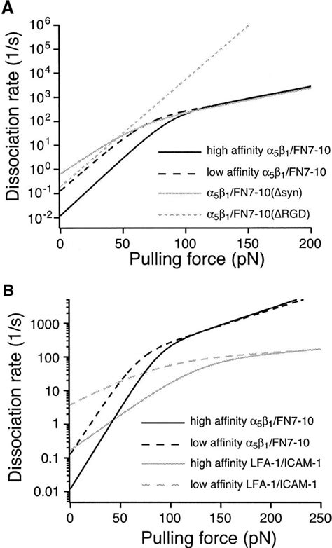Force Measurements Of The α5β1 Integrin Fibronectin Interaction Pmc