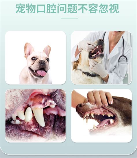 宠物牙刷狗猫洁牙刷牙猫咪小狗牙刷猫牙刷狗牙刷宠物用品厂家批发 阿里巴巴
