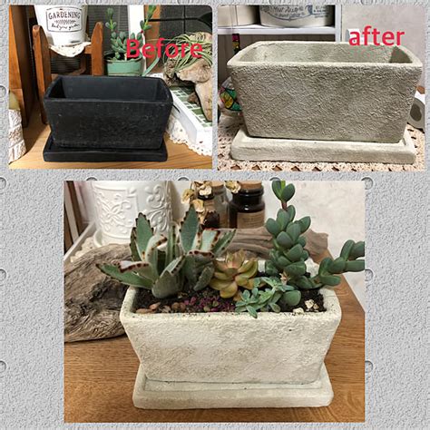 植木鉢ペイントターナーミルクペイントスノーホワイトターナープラスターメディウムターナーミルクペイント ヘンプベージュ多肉寄せ植え