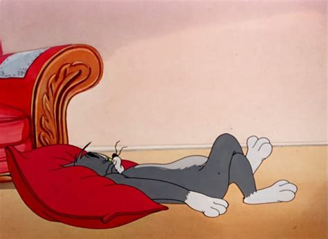 Sleeping Tom On Pillow Tom And Jerry Memes The Best Of Indian Pop