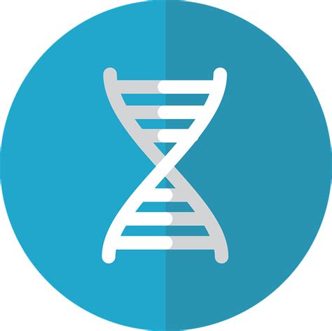 Gene Icon Genetics Free Vector Graphic On Pixabay