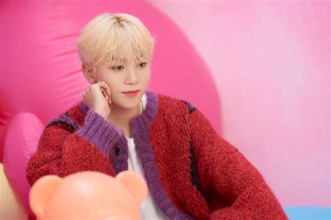svt contents on twitter 🖼️ seventeen japan 1st ep dream jacket