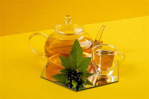 블랙 건포도 차 투명한 유리 주전자 차 한 잔 노란색 배경에 검은 건포도 열매 진정 음료 개념 Adaptogen에 대한 스톡 사진 및 기타 이미지 Istock