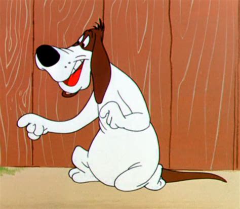 Barnyard Dawg Looney Tunes Wiki