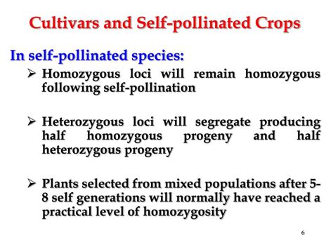 Ppt Breeding Self Pollinated Crops Powerpoint Presentation Free