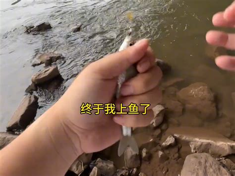 兄弟们，第九天了，我上鱼了！路亚野钓野钓 微物路亚 城歌路亚 城歌路亚 哔哩哔哩视频
