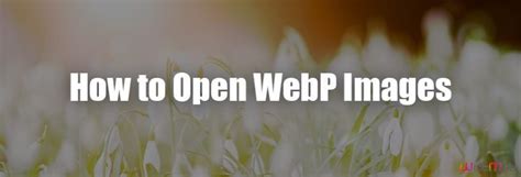 Widsmob Create Better Digital Life With Us