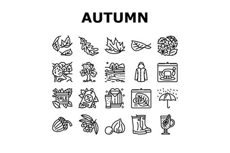 Autumn Fall Leaf Nature Season Icons Set Vector 2232156
