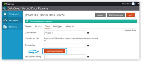Accessing Relational Big Data And Saas Data From Nativescript The