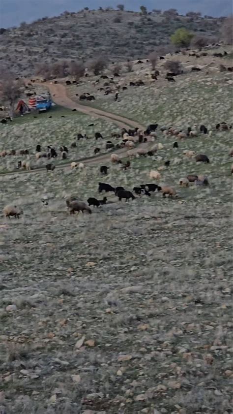 ‎ایل بزرگ قشقایی 👈بومگردی عشایر استان اصفهان و فارس‎ ‎وآره گده کنه